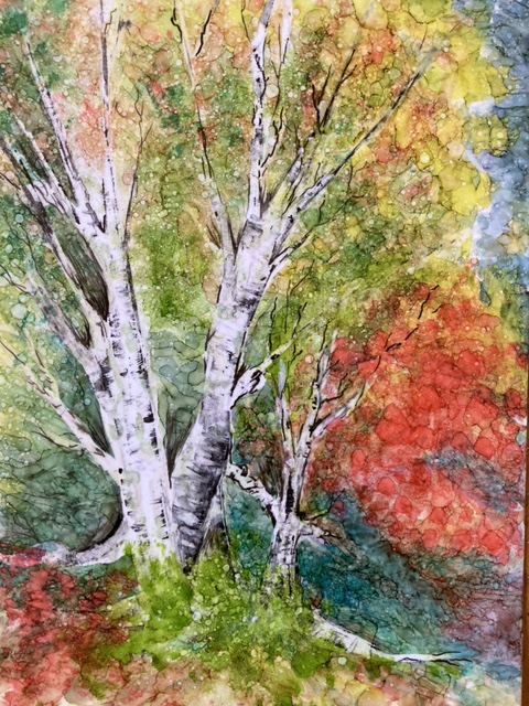 Durand Tree – CVConversations